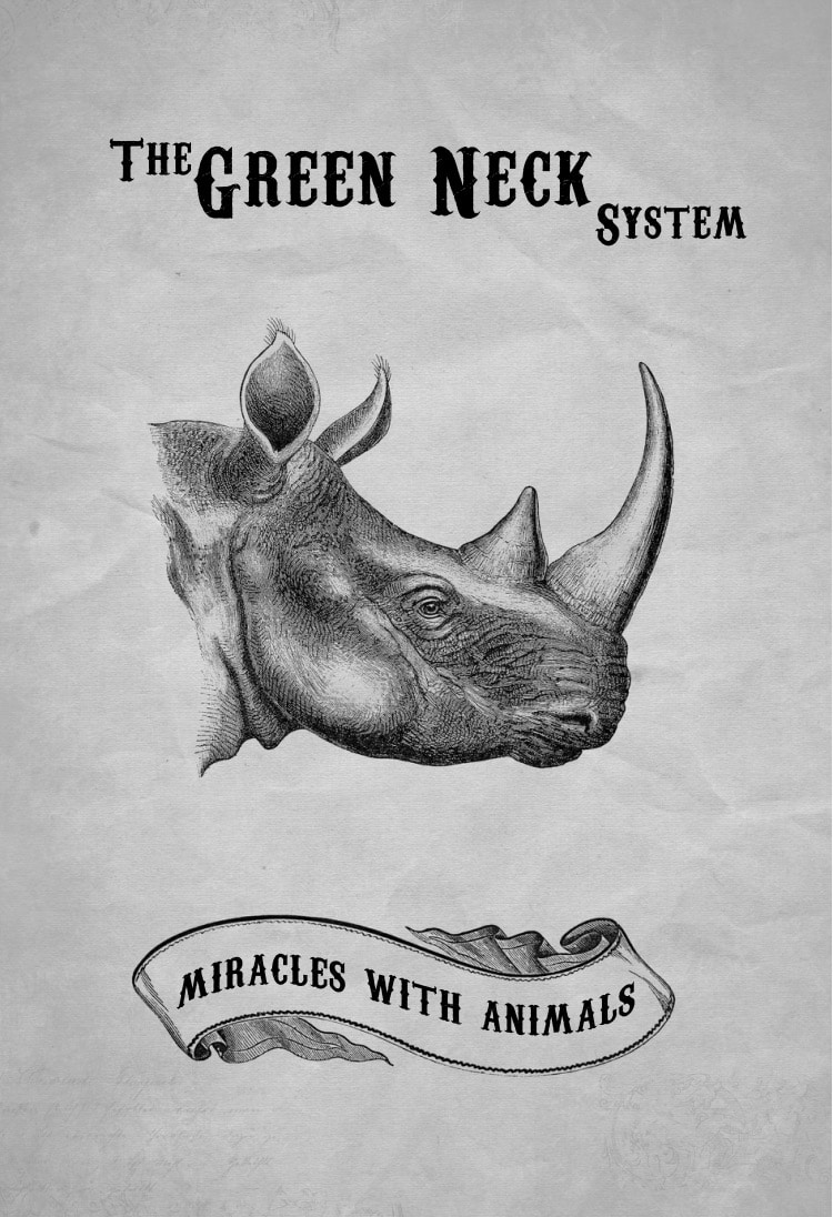 The Green Neck System de Gabriel WERLEN - Virtual Magie